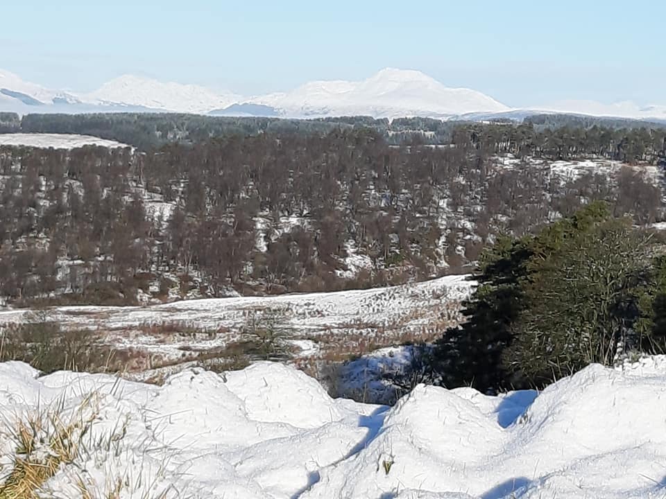 SLEETY WINDS – THE DEMOCRAT