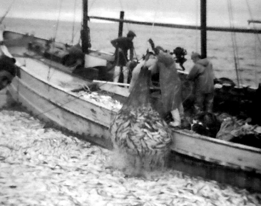 Herring fishing 1 – THE DEMOCRAT